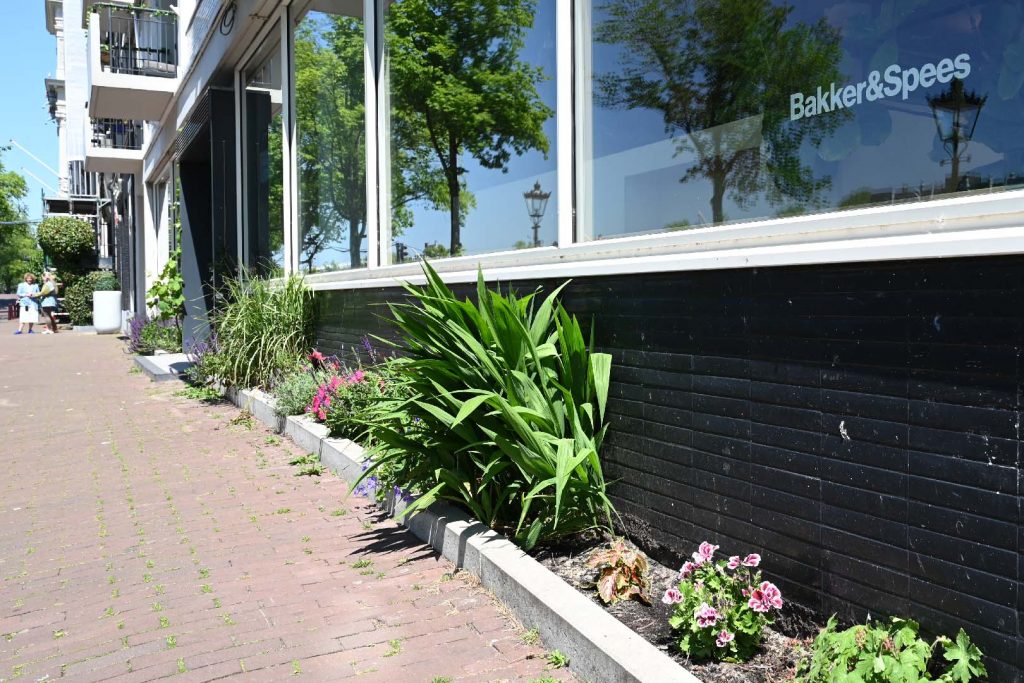 Over ons | Bakker&Spees